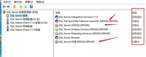 Sqlserver服务器无法登录解决方法一例【access软件网】