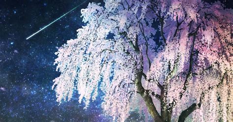 オリジナル 星と桜が降る夜に Kupeのイラスト Pixiv