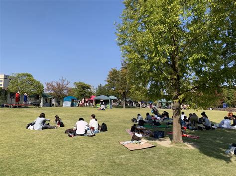 ノリタケの森の芝生の上でピクニックしながら紅茶を楽しむ様子 名駅経済新聞
