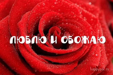 Люблю тебя картинки | Beauty, Peach, Peach rings