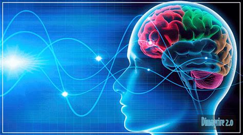 Potenziare Il Cervello In 3 Giorni Ecco Come Fare