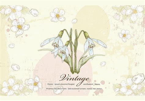 빈티지 배경 벡터 Eps Ai Uidownload