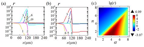 Steady State Concentration Profiles Of Particles Of A Different