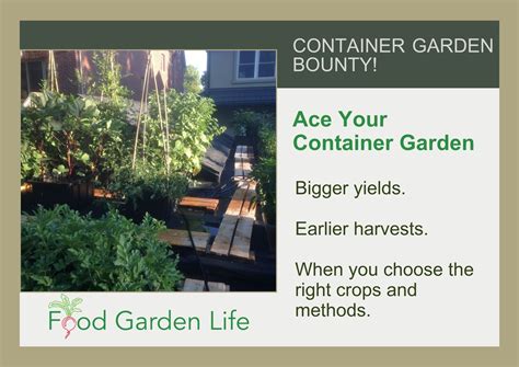Plan The Perfect Kitchen Garden For Your Space Beautiful Too — Food