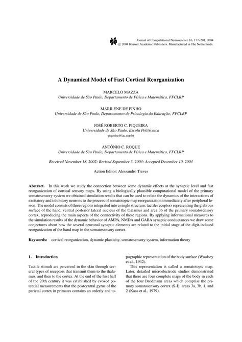Pdf A Dynamical Model Of Fast Cortical Reorganization