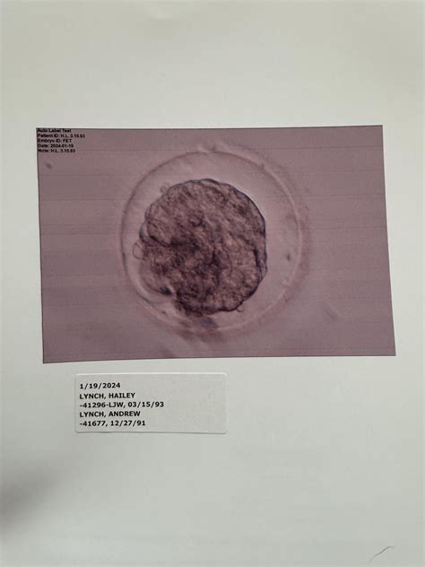 Grade R Embryologists