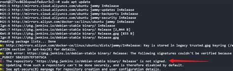 在 Ubuntu 服务器上安装 Jenkins 及报错解决图文教程