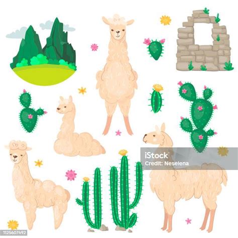 라마와 선인장을 설정합니다 Mountins와 페루 미국 밸리 Succulents 및 라마 알파 카 모직 벡터 일러스트 레이 션 만화 스타일입니다 라마에 대한 스톡 벡터 아트