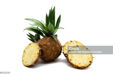 흰색 배경에 고립 된 잎이있는 파인애플 전체와 슬라이스 플랫 레이선택적 초점 0명에 대한 스톡 사진 및 기타 이미지 0명 과일 날것 Istock