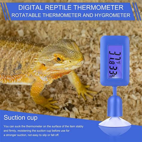 Reptile Thermometer Reptile Thermometer And Humidity Gauge Digital