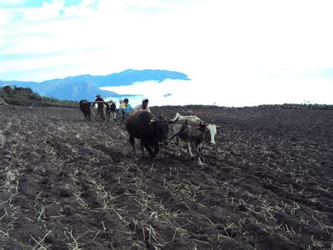 Conveagro Presenta Un Plan De Emergencia Para El Agro Familiar