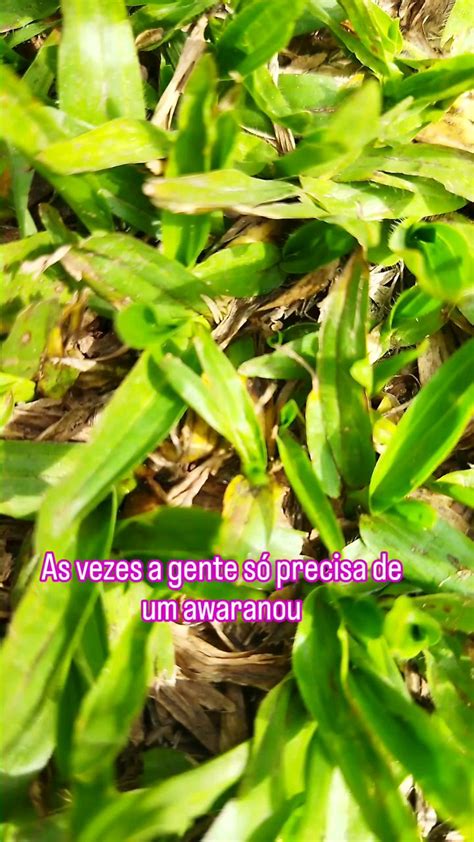 Video Posted By Dih Siqueira Dihsiqueiraofc