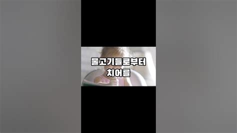 구피부화통 특징 Youtube