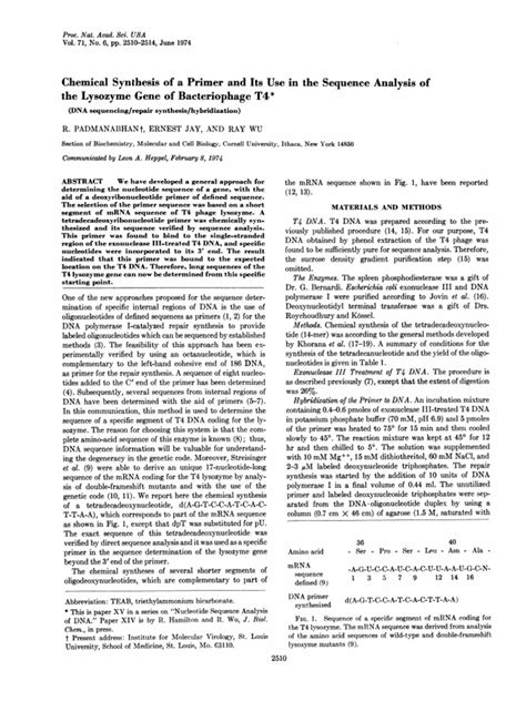 Chemical Synthesis Of A Primer And Its Use In The Sequence Analysis Of Pdf Primer Molecular