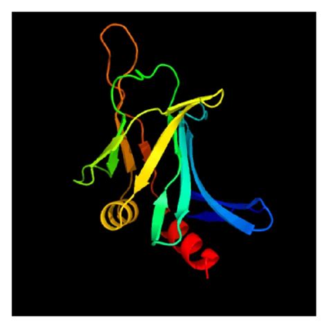 Proteins Of Bartonella Bacilliformis Candidates For Vaccine Development Henriquez Camacho