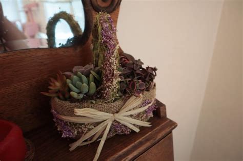 Adorable Spring Succulent Basket Rtraderjoes