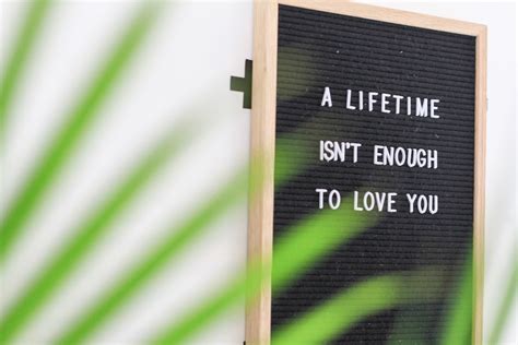 50 Heartwarming Life Is Beautiful Quotes To Brighten Your Day