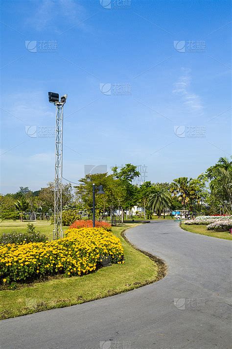 自然花园中的道路