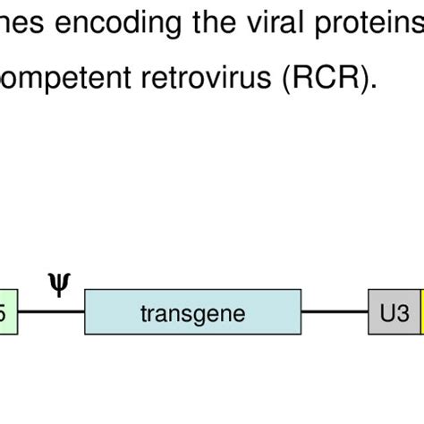 Mechanism Of HSV 1 Tk GCV Cell Killing A After Viral Gene Transfer Download Scientific
