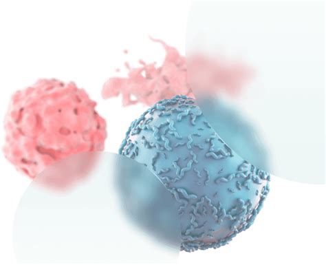 Immpact Bio Awarded 8 Million Cirm Grant For Phase 1b2 Development Of