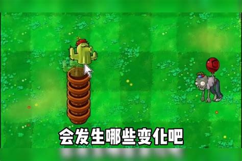 植物大战僵尸：当仙人掌使用花盆增高后，会发生什么变化呢？