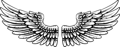 Spread Eagle Imagens Procure 224 Fotos Vetores E Vídeos Adobe Stock