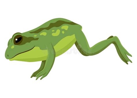 frog jumping animation icon sequences or footage for motion design