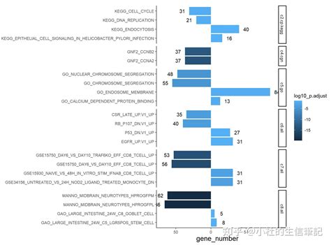 绘制差异基因富集柱状图 知乎