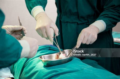 전문 지식 외과 및 건강을 가진 병원 의료 및 응급 전문 및 보조 구조 환자에서 수술에서 환자와 함께 수술을하는 팀 의사와 외과