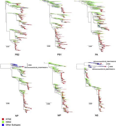 Bayesian Phylogenetic Trees Of The Internal Genes Pb2 Pb1 Pa Np Mp