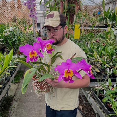 Wife Of Orchid Guy Wife Of Orchidguy • Instagram Photos And Videos