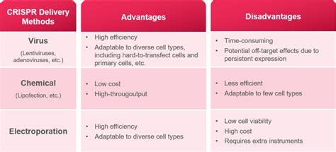 Maximizing Crispr Editing Efficiency In Assay Cell Line Engineering