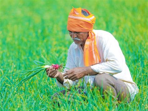 Pradhan Mantri Kisan Samman Nidhi Pm Kisan Paper Tyari