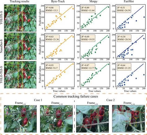 Toward Real Scenery A Lightweight Tomato Growth Inspection Algorithm For Leaf Disease Detection