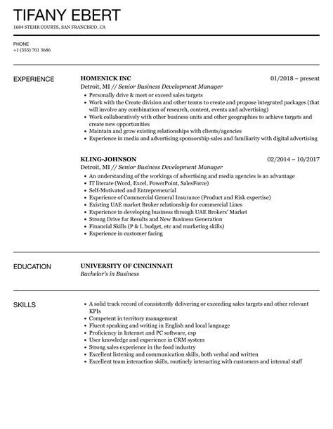 Senior Business Development Manager Resume Samples Velvet Jobs