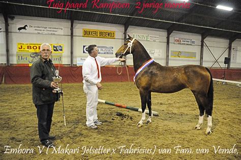 Vemde Foto's: Embora V. Tuigpaard Kampioen ( merries 2 jarigen )