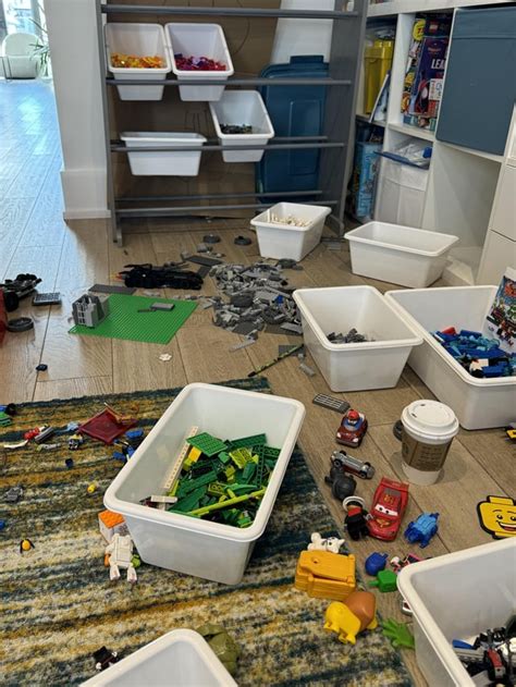Lego Sorting Advice Needed Rlegostorage