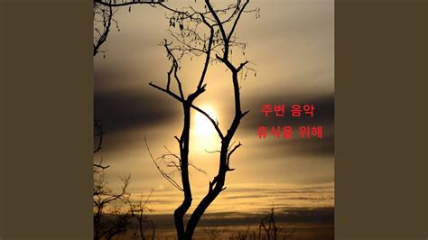 메모리 향상 Youtube