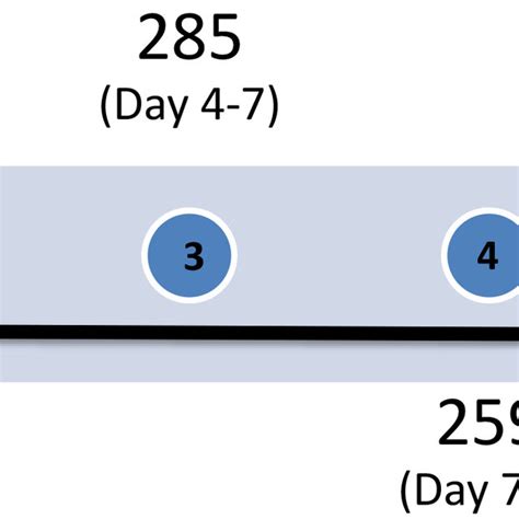 Participant Follow Up Timeline Participant Sample Collection Timeline