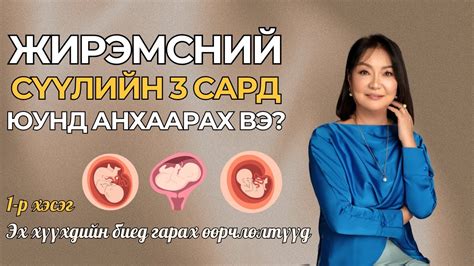 Ж Энхцэцэг эмч Жирэмсний СҮҮЛИЙН 3 сар юунд анхаарах вэ 1 р хэсэг Youtube