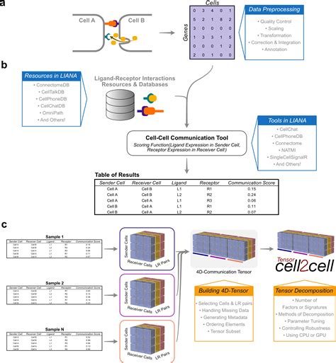 Liana X Tensor Cell2cell Tutorials — Liana X Tensor Cell2cell 002