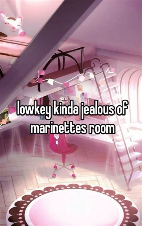Marinettes Room Is So Big And Cute💗 Miraculous Ladybug And Catnoir