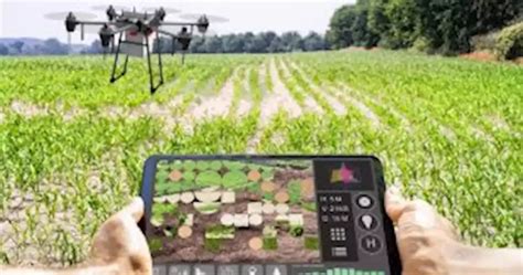 Qué es la agricultura digital y por qué es importante para la