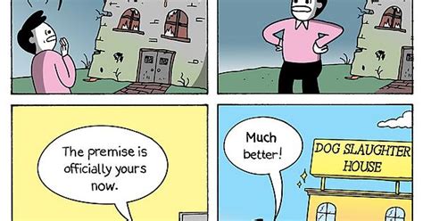 Must Be A Cat Person Album On Imgur