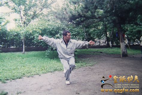 练形意拳短命 形意拳五行拳 形意拳形 大山谷图库