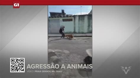 Vídeo G1 em 1 Minuto Santos Homem é flagrado agredindo cachorro de