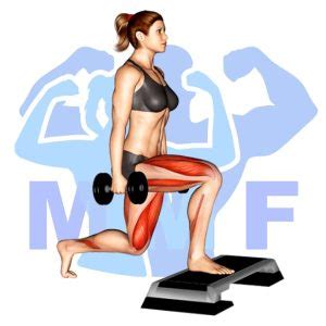 Dumbbell Split Squat For Sexy Legs And Behind All In One Exercise