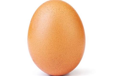 Foto De Ovo Se Torna A Imagem Mais Curtida De Todos Os Tempos No