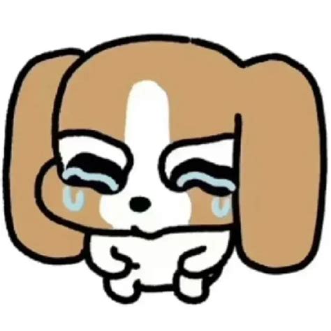 比格多栋表情包相关表情包表情包专辑 求表情网斗图从此不求人