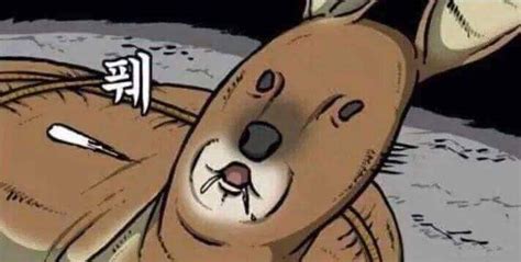 웃긴 사진에 있는 핀